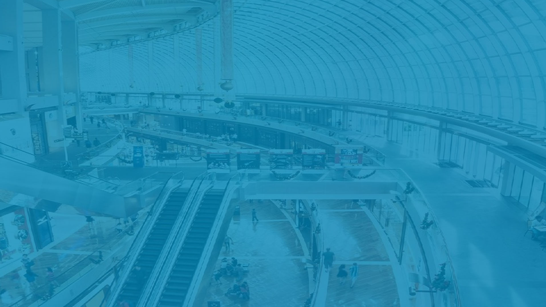 Evolving The In-Store Experience | Radius Commercial Real Estate